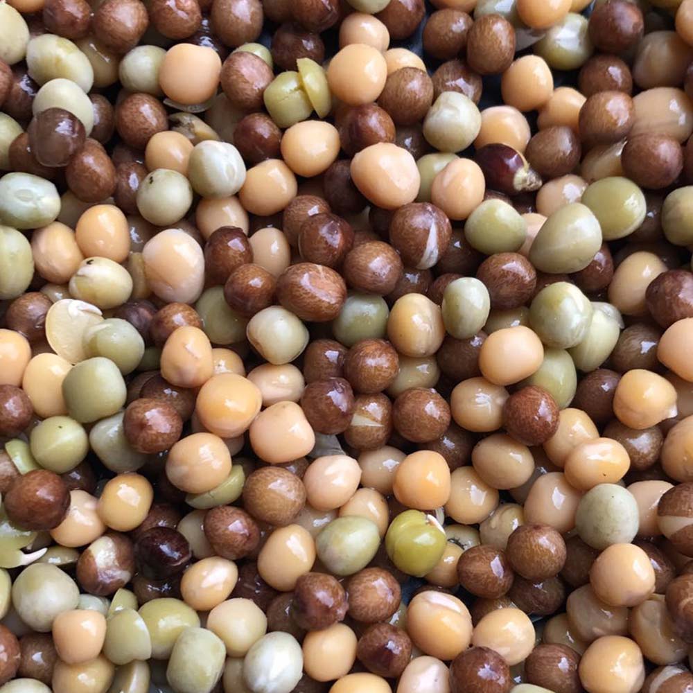 Mixed Peas - Valemount – Mischief Pet Products
